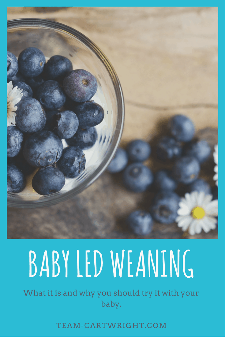 Baby Led Weaning (BLW) - Team Cartwright