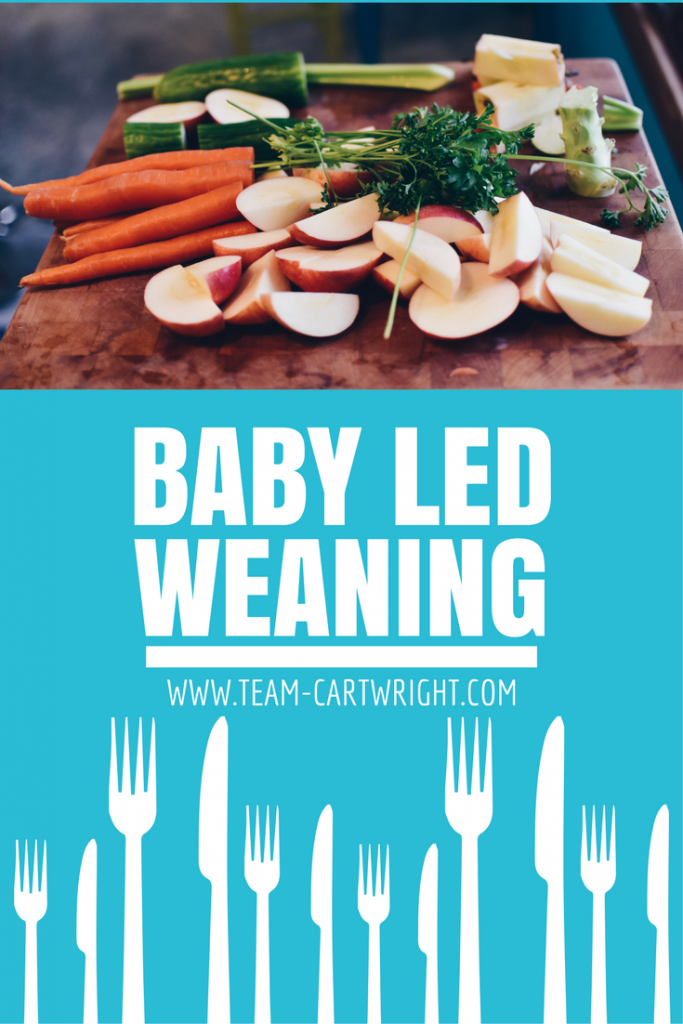 Baby Led Weaning (BLW) - Team Cartwright