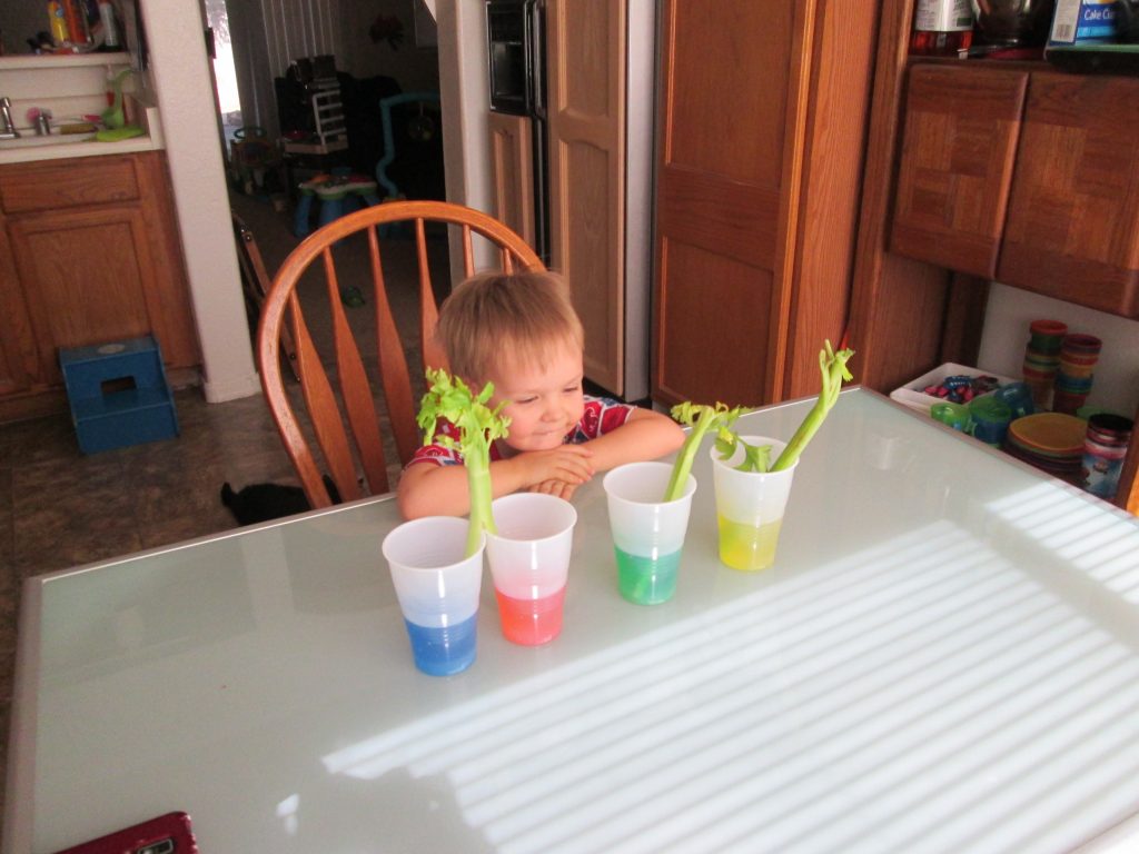 Easy Preschool Science {Vol. 1} - Team Cartwright