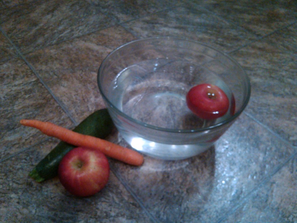 Easy Preschool Science: 5 Five minute Fall Activities - Team Cartwright