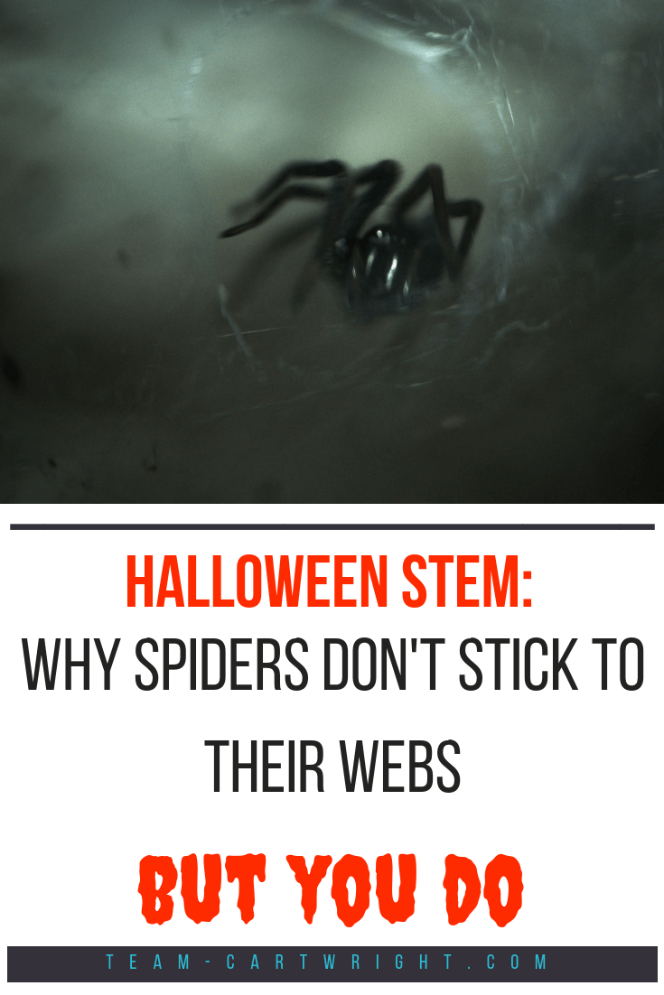 Easy Preschool Science: 5 Five minute Fall Activities - Team Cartwright