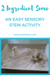 Christmas Science Experiments: 5 Minute Holiday STEM Activities