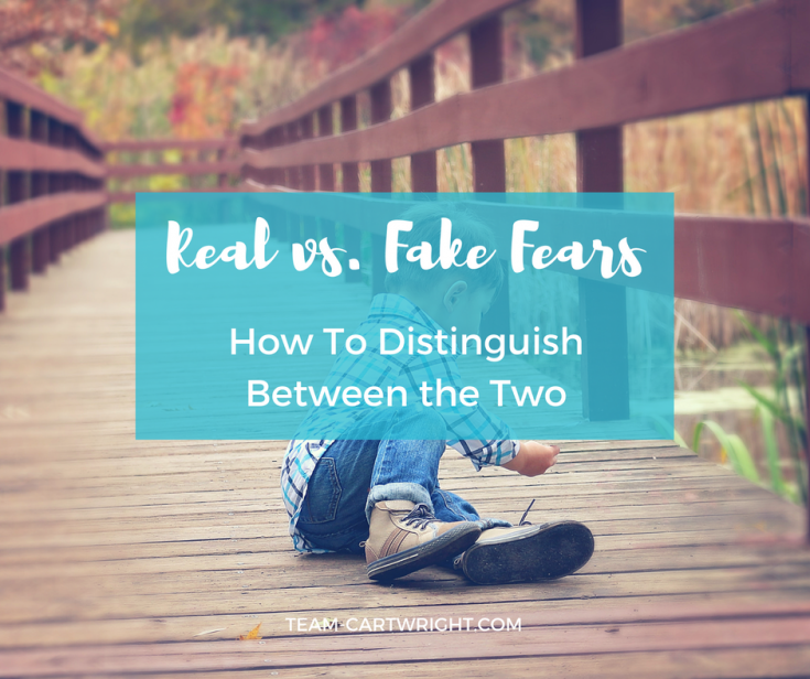 Real vs. Fake Fears: How to distinguish between the two - Team Cartwright