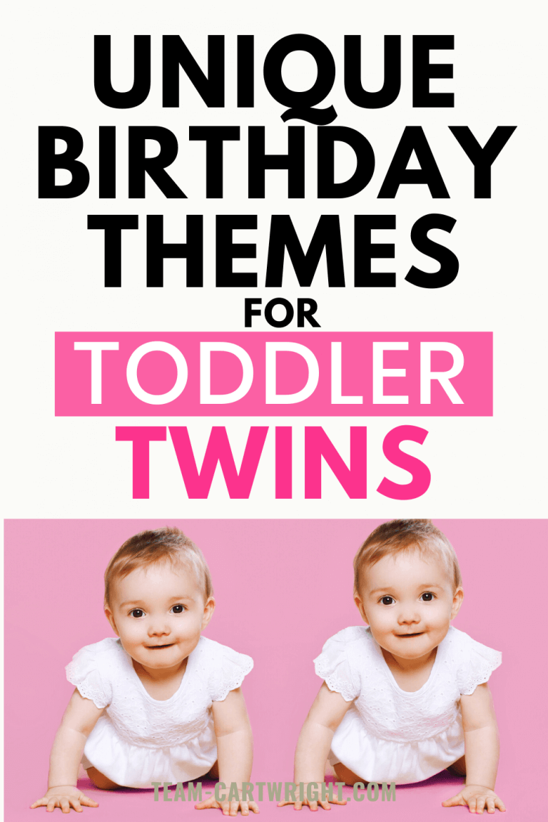 10 Simple and Unique Twin Toddler Birthday Themes - Team Cartwright