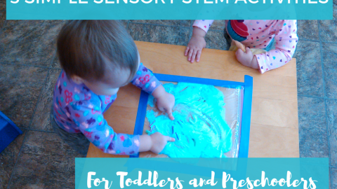 Toddler STEM Activities - Simple Activities for 2 to 3 Year Olds