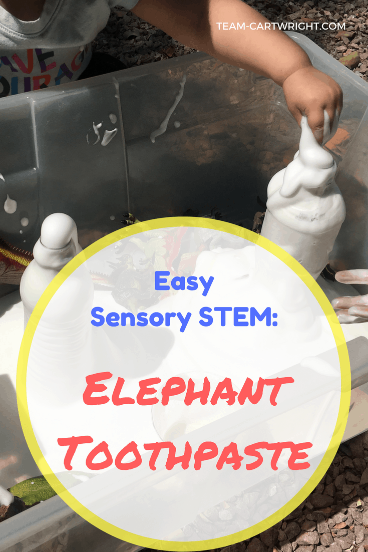 Elephant Toothpaste: An Easy At Home Explosion - Team Cartwright