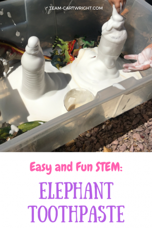 Elephant Toothpaste: An Easy At Home Explosion - Team Cartwright