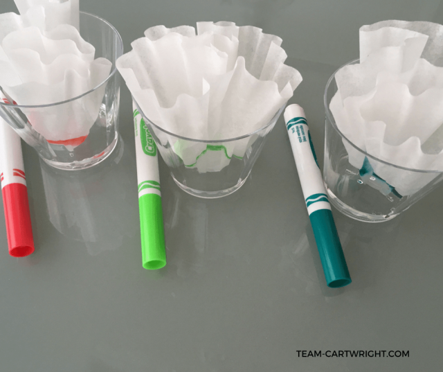 STEM Color Activities: Easy Science Activities to Teach Kids About Color