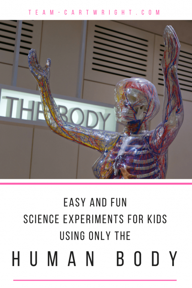 Easy and Fun Human Body Science Experiments for Kids