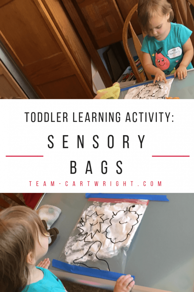 Monster Sensory Bags for Toddlers: Easy and Fun Learning Activity