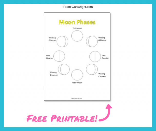 Moon Activities for Preschoolers - Team Cartwright