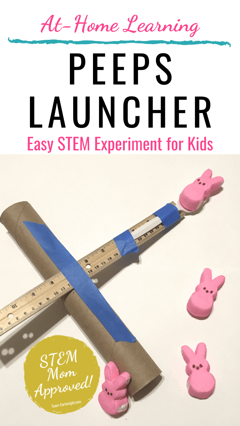 Easter Bunny Launcher: A Peeps STEM Experiment