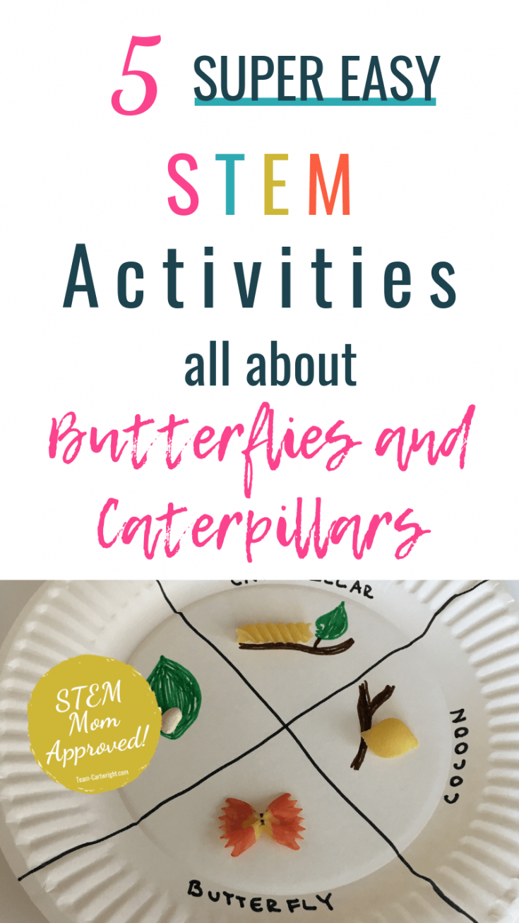Butterfly STEAM Activities for Preschoolers and Toddlers - Team Cartwright