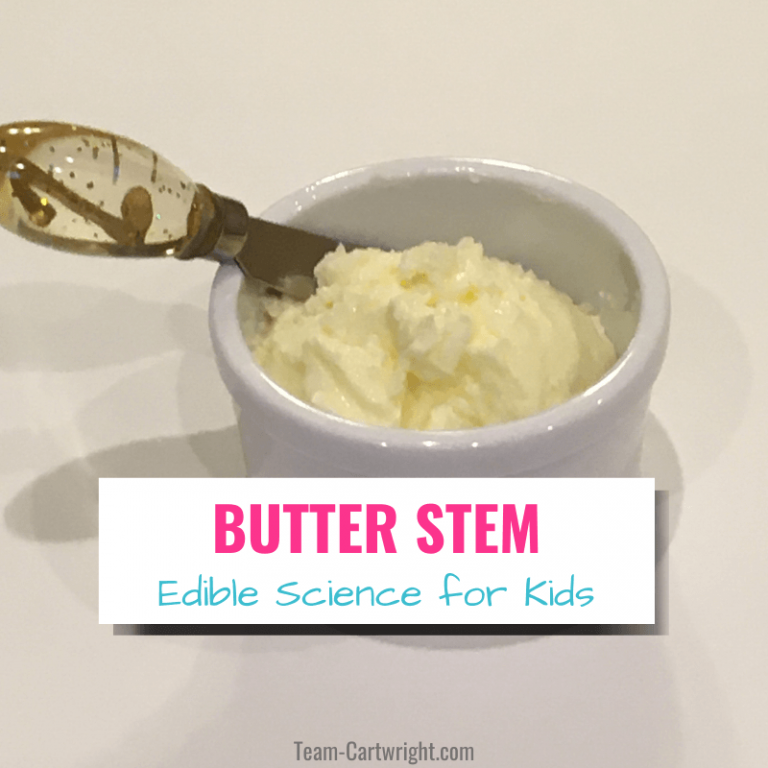 How To Make a Model Spine: Anatomy STEM for Kids - Team Cartwright