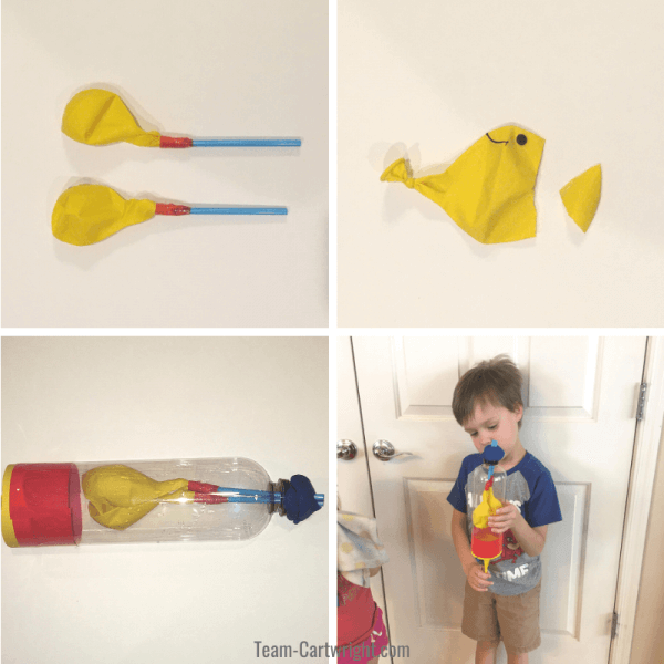 Working Lung Model for Kids : Anatomy STEM Activity