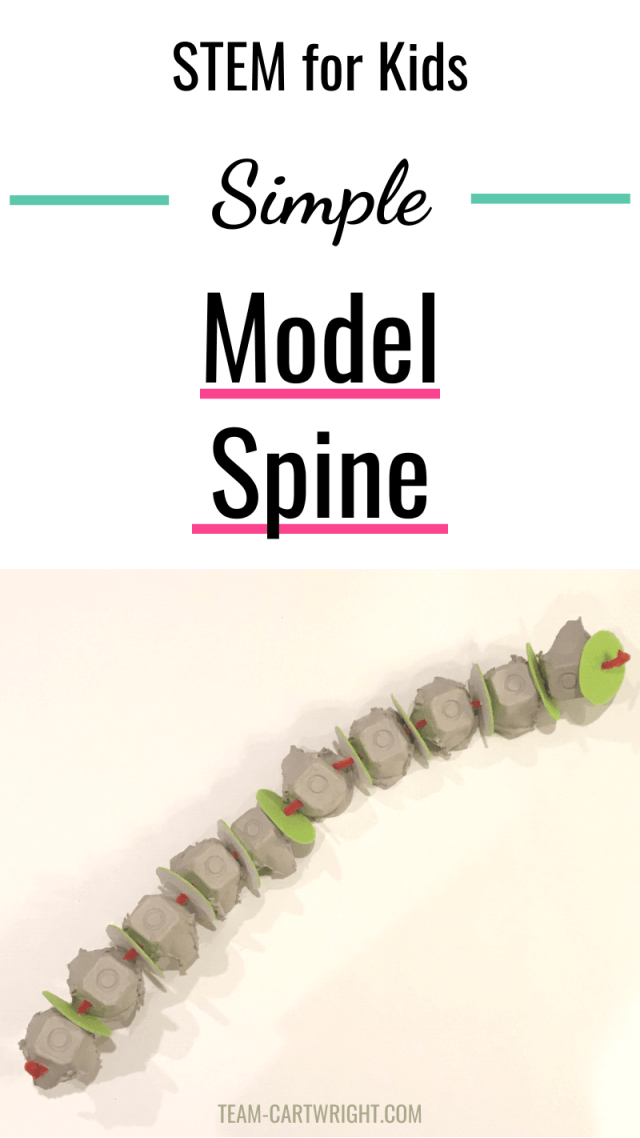 How To Make a DIY Stethoscope for Kids - Team Cartwright