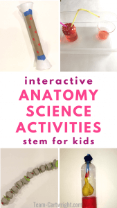 Anatomy Activities for Kids : Easy Human Body STEM