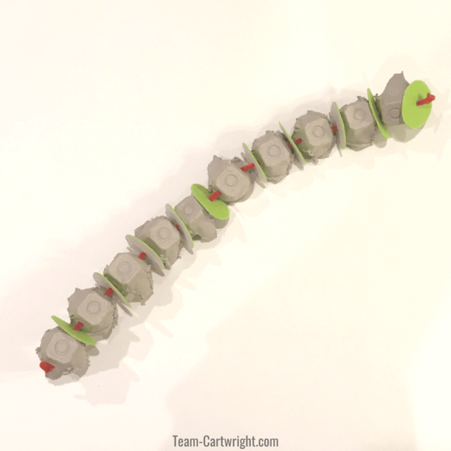 How To Make a Model Spine: Anatomy STEM for Kids - Team Cartwright