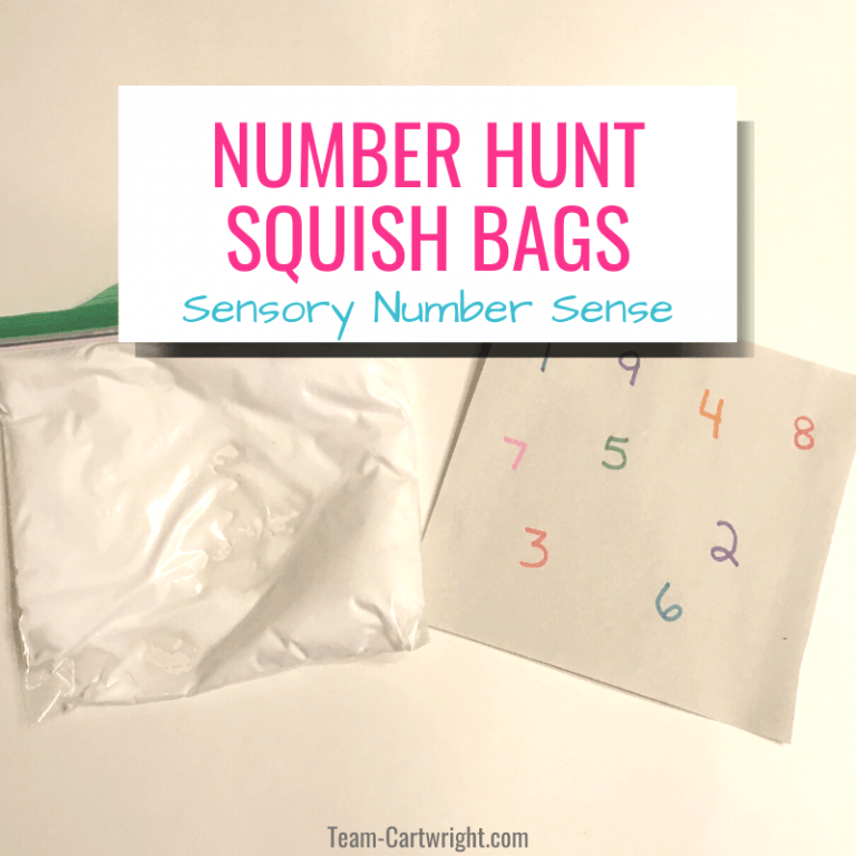 Sensory Bag Number Hunt: Number Sense for Toddlers