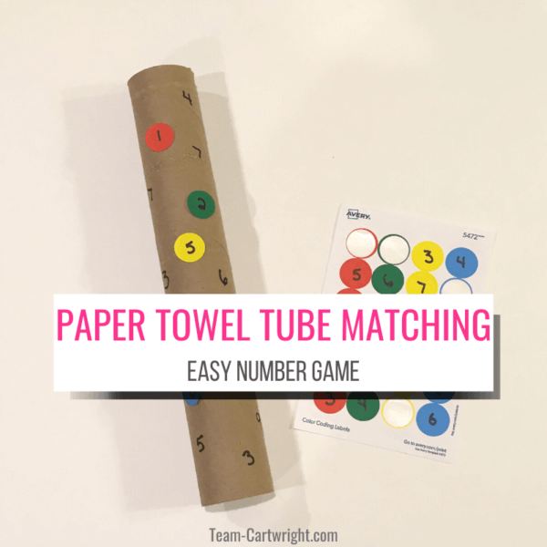 Bean Counting Game: Easy DIY Number Sense Game