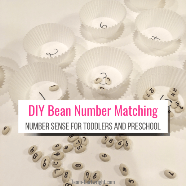 Bean Counting Game: Easy DIY Number Sense Game