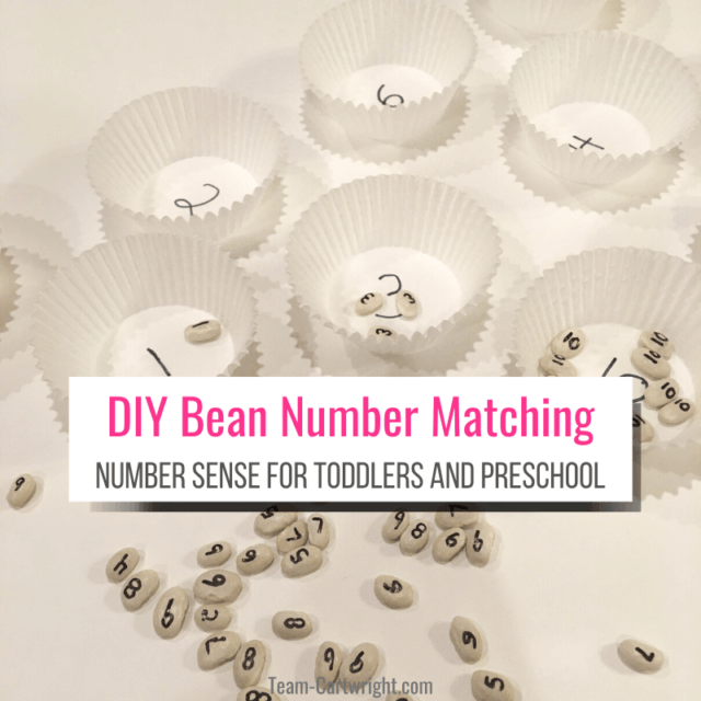 Bean Counting Game: Easy DIY Number Sense Game