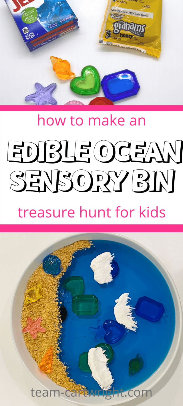 Edible Ocean Sensory Bin Treasure Hunt - Team Cartwright