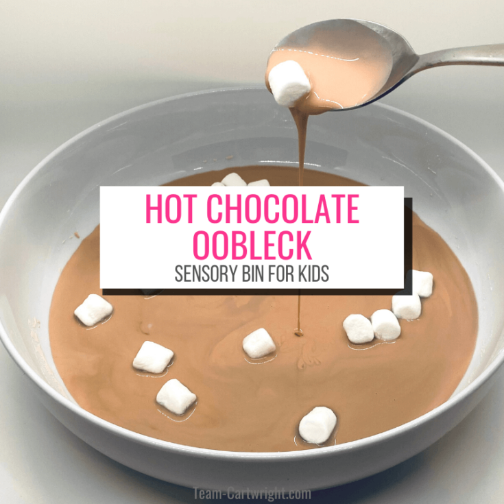 Hot Chocolate Sensory Bin: Ooblecks and More - Team Cartwright