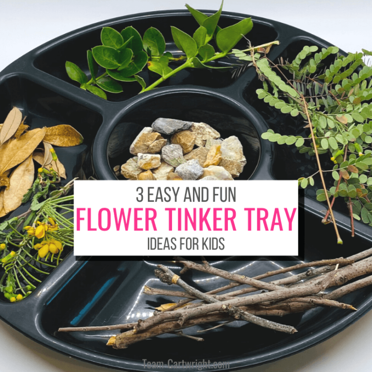 Flower Tinker Trays Activity : 3 Creative Challenges for Kids