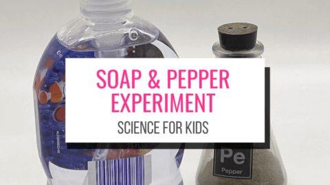 Preschool STEM Activities - Simple Activities for 3 & 4 Year Olds