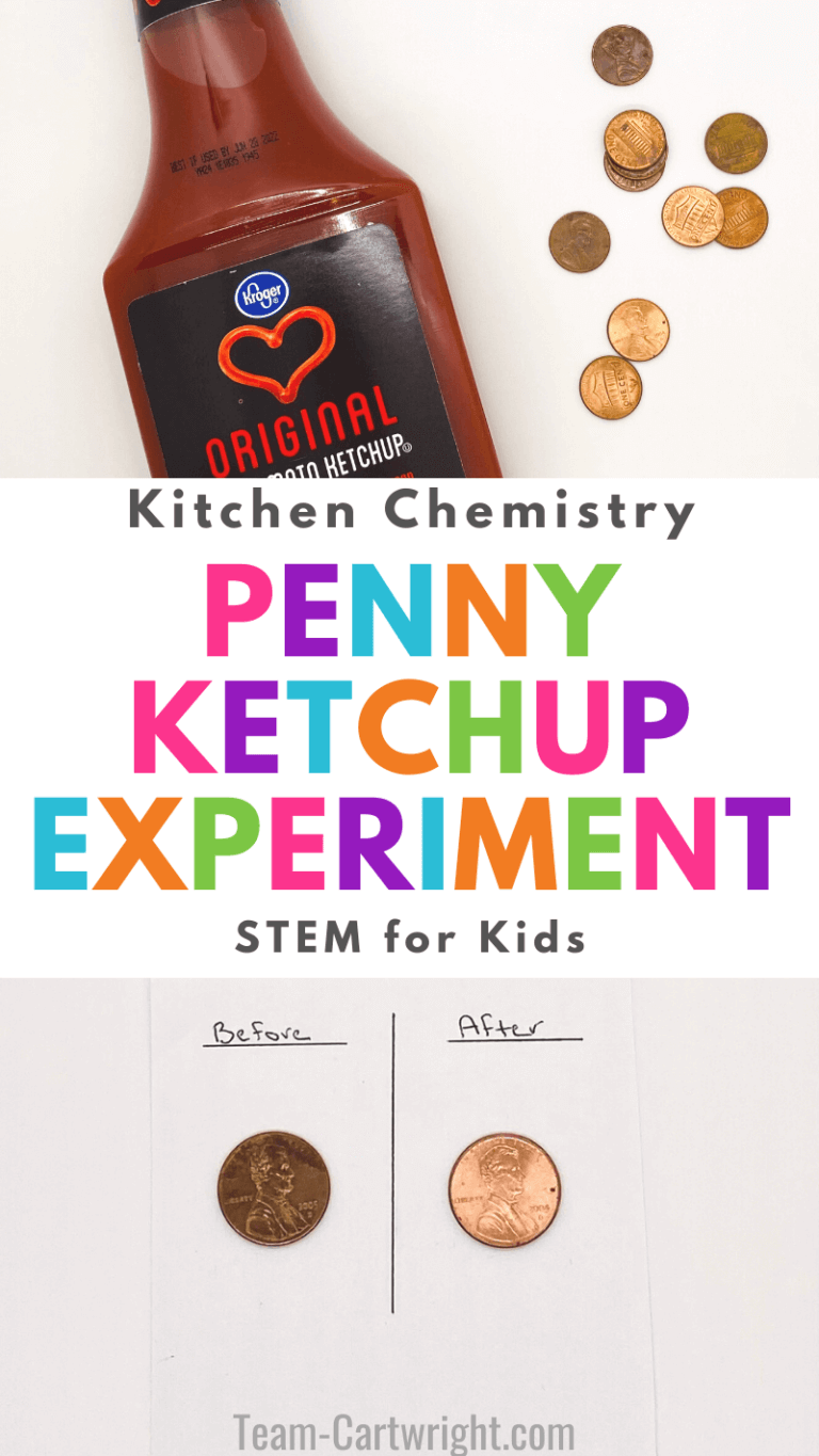 Exploding Bag Experiment for Kids - The Exploding Lunch Bag Experiment