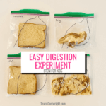 Digestion Experiment for Kids- DIY Stomach Model - Team Cartwright