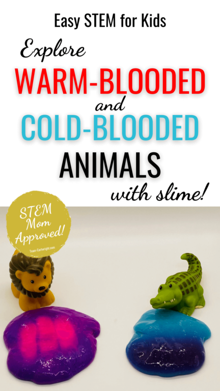 Warm-Blooded vs Cold-Blooded Activities (with Color Changing Slime!)