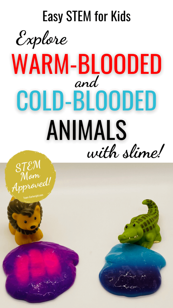 Warm-Blooded vs Cold-Blooded Activities (with Color Changing Slime!)