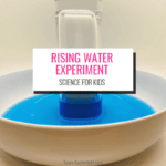 Rising Water Experiment - Magic Water Science Experiment