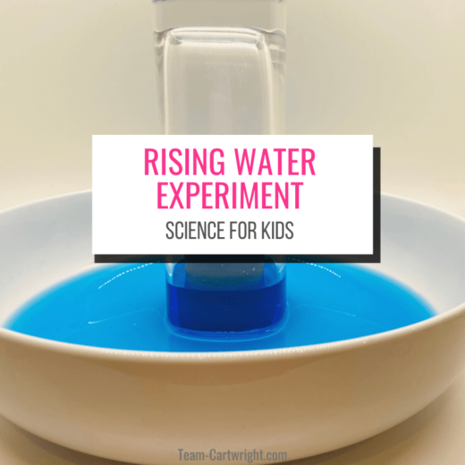 Rising Water Experiment - Magic Water Science Experiment