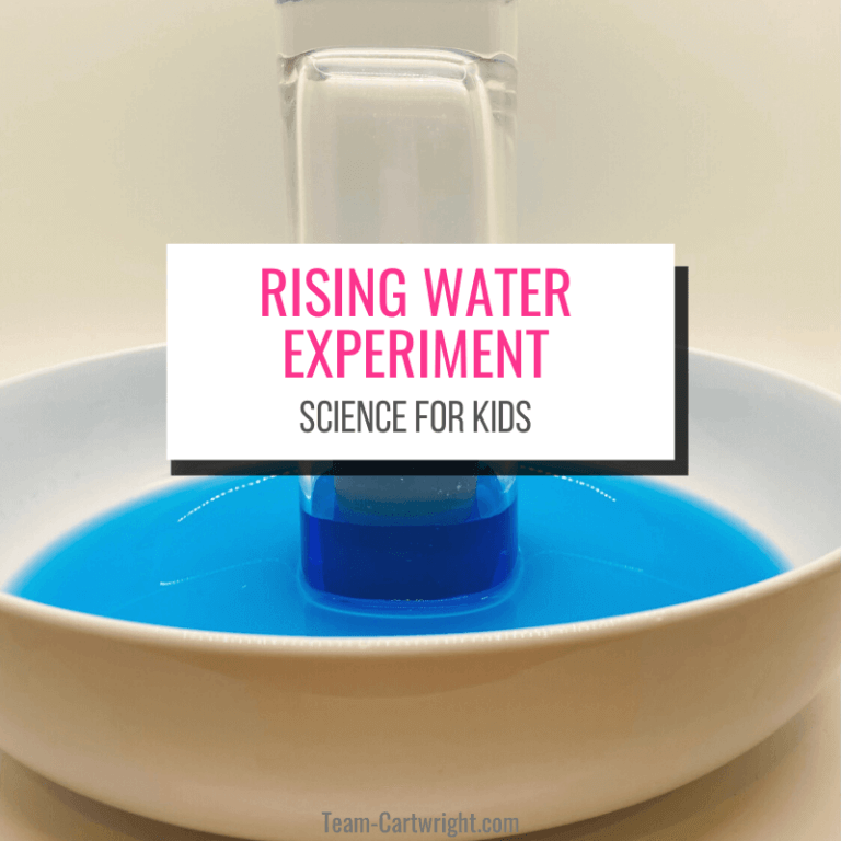 Rising Water Experiment - Magic Water Science Experiment