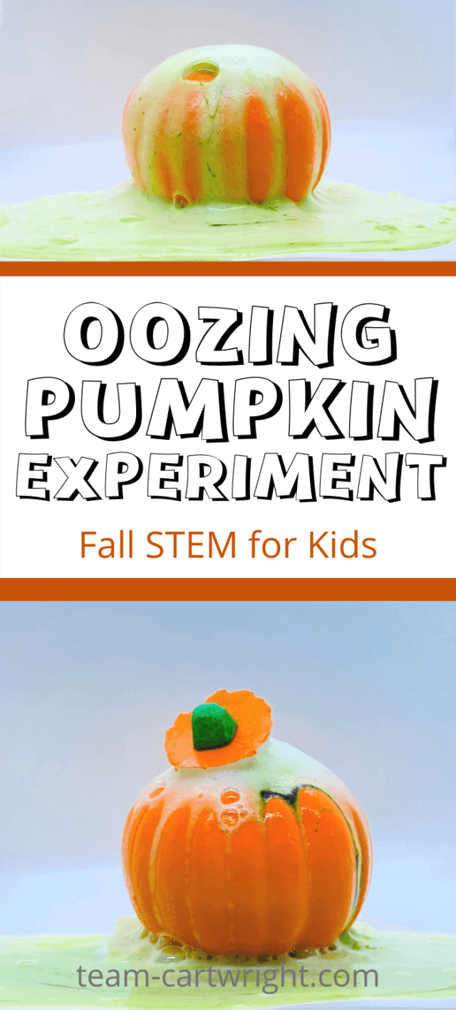 Magic Spider Web Experiment: Halloween STEAM Activity
