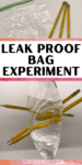 Leak Proof Bag Experiment - Team Cartwright