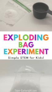 Exploding Bag Experiment for Kids - The Exploding Lunch Bag Experiment