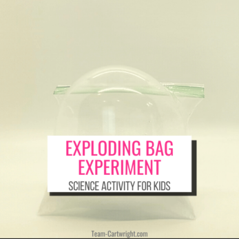 Exploding Bag Experiment for Kids - The Exploding Lunch Bag Experiment