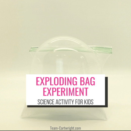 Exploding Bag Experiment for Kids - The Exploding Lunch Bag Experiment