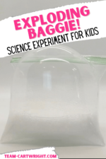 Exploding Bag Experiment for Kids - The Exploding Lunch Bag Experiment